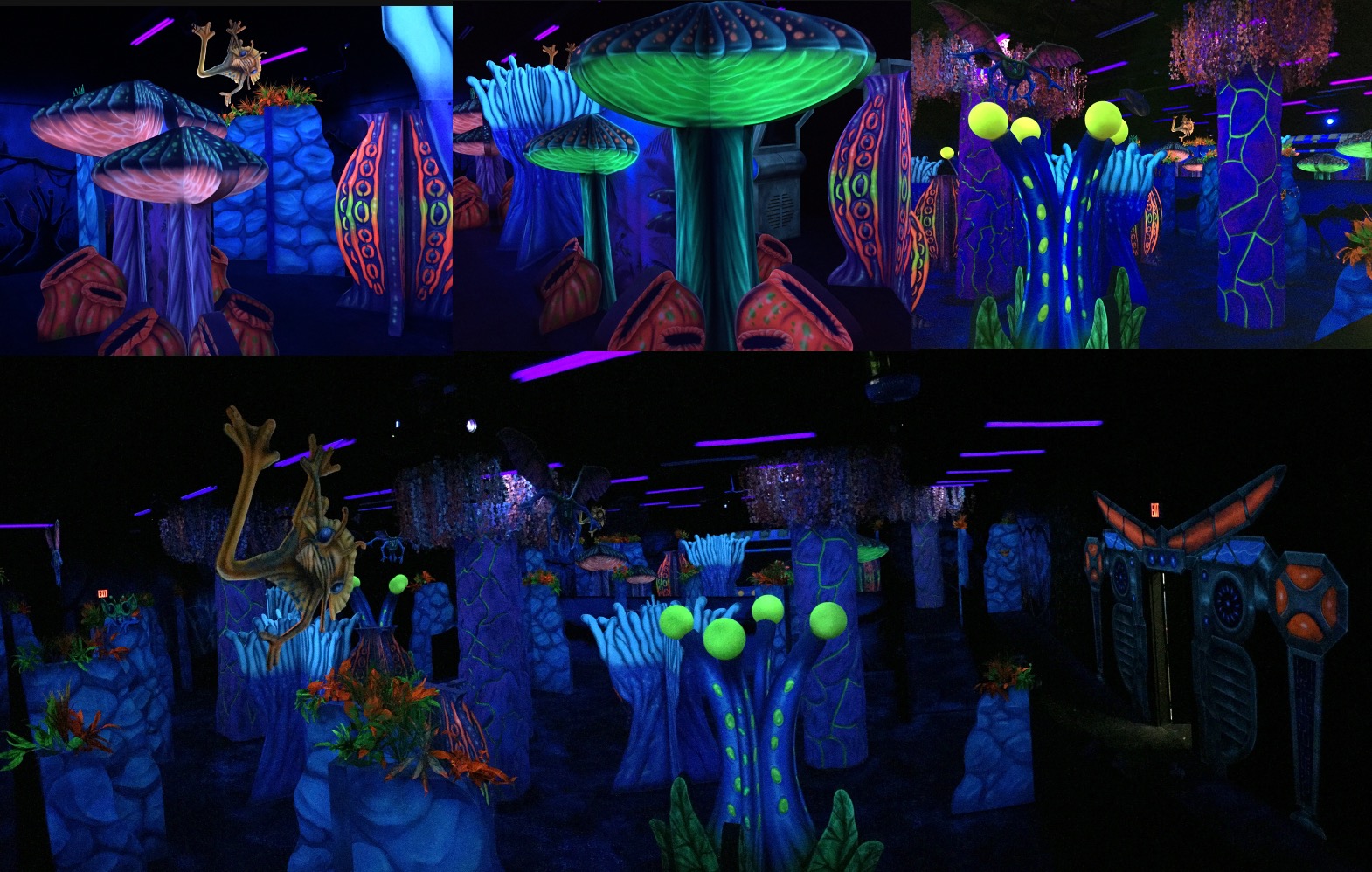 Family Entertainment Centers – Dynamic Design